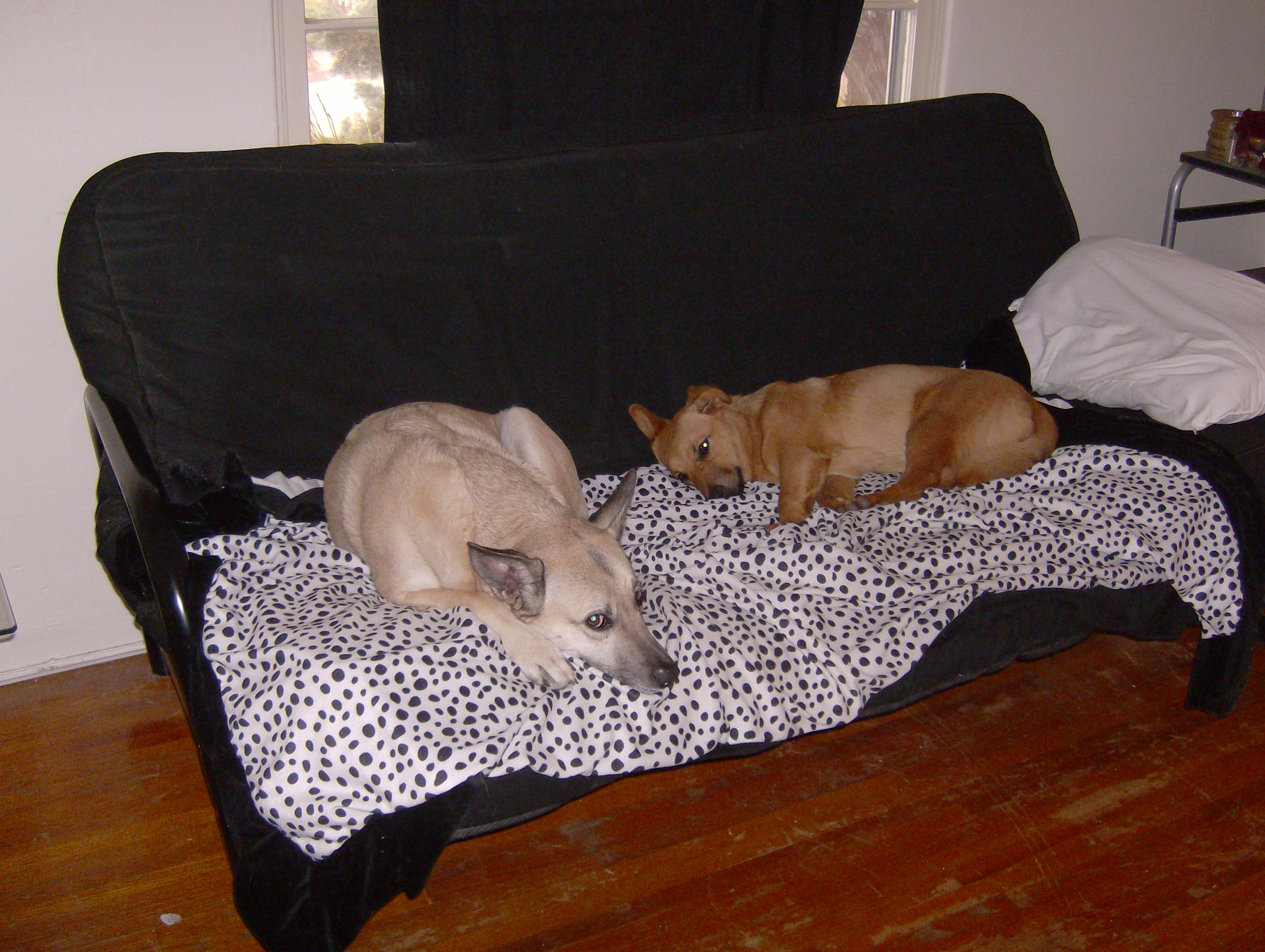 fancyBox - Fancy jQuery Lightbox Alternative | Demonstration